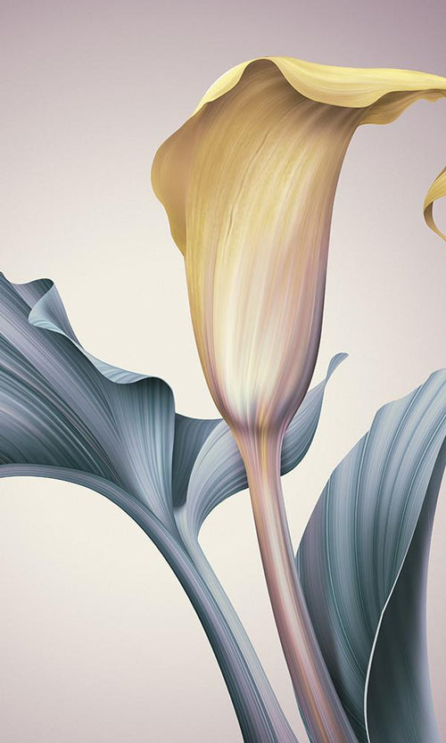 Digital Print Trends 2021 – Page 5 – Prime Walls Canada